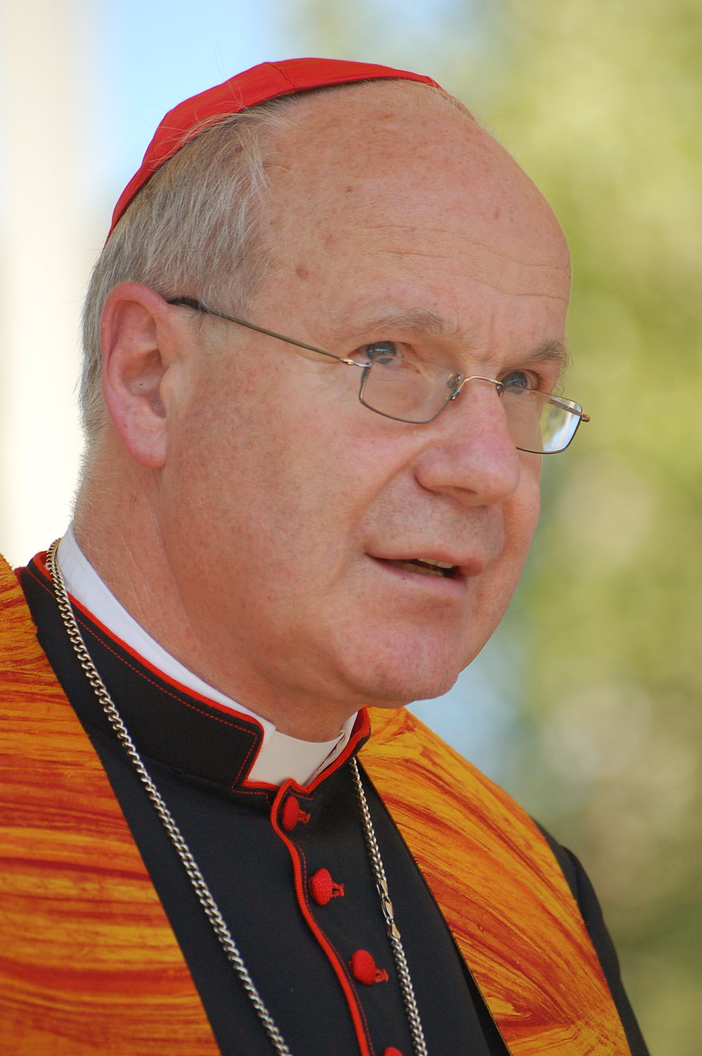 PCG points to Cardinal Schönborn as one to watch